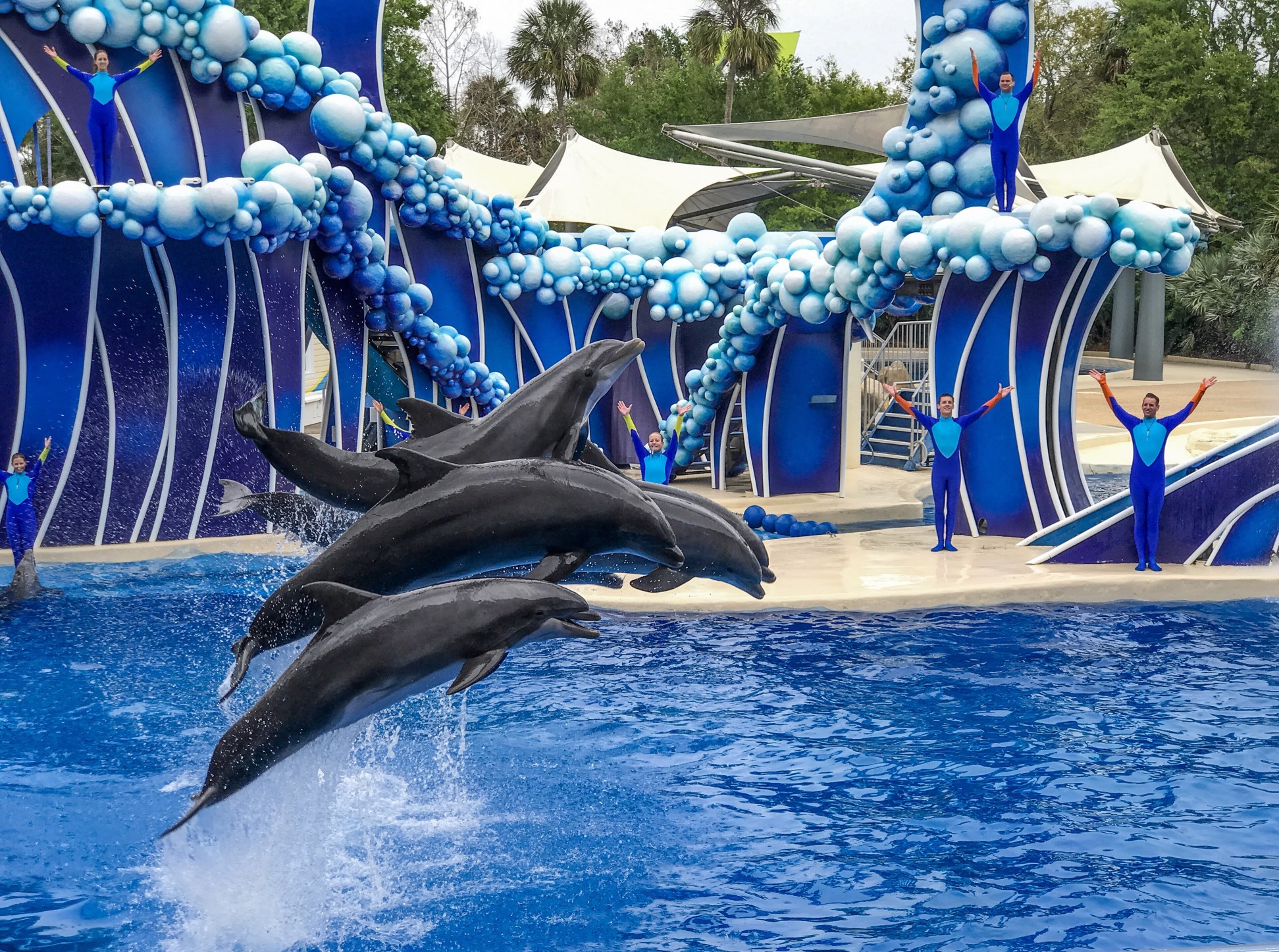 Visit Seaworld Top Attractions In Orlando Global Resort Homes Visit Seaworld Top Attractions In Orlando Global Resort Homes