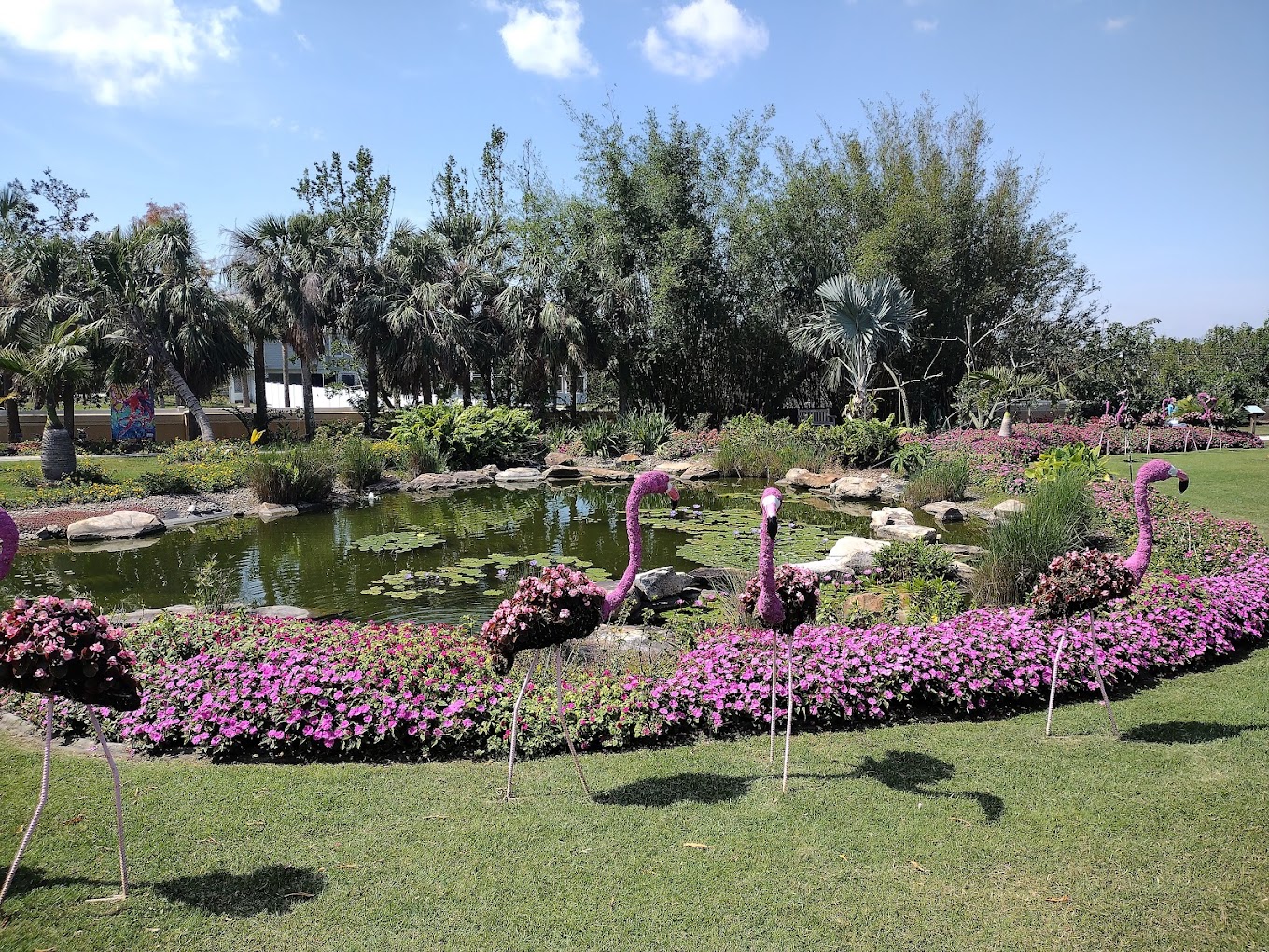 7 Things to Do in Punta Gorda Florida - Global Vacation Rentals